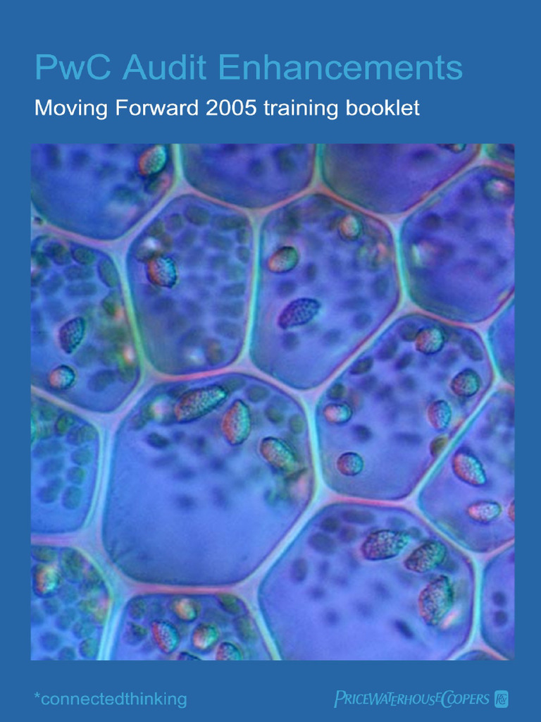 PwC Audit Enhancements 2005 Overview | PDF | Financial Audit | Audit