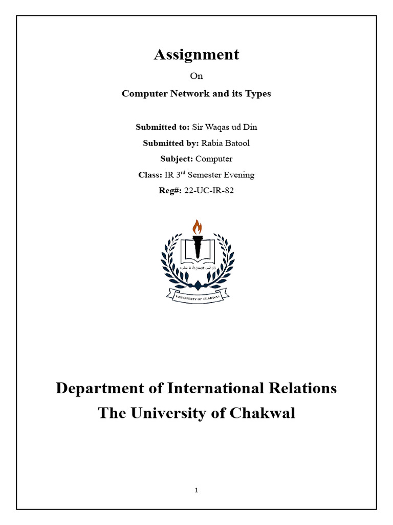 Network and Its Types Computer Assignment | PDF | Computer Network | Local Area Network