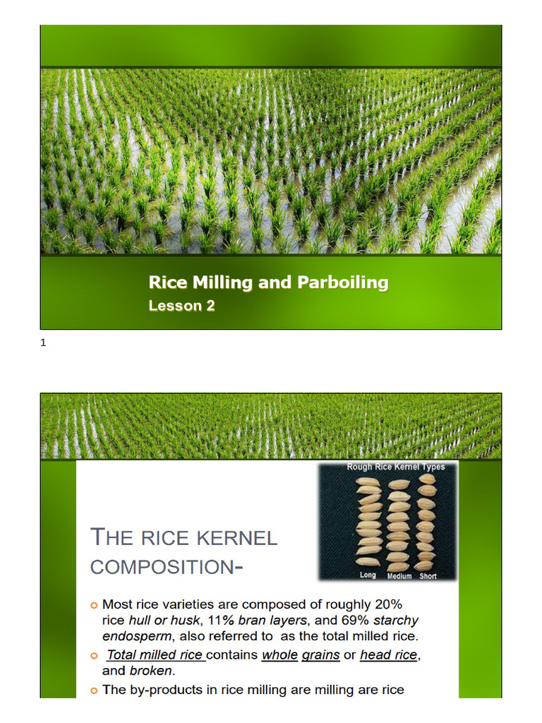 Rice Milling and Parboiling | PDF | Rice | Mill (Grinding)