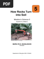 Types of Rocks for Grade 5 Lesson Plan | PDF | Rock (Geology ...