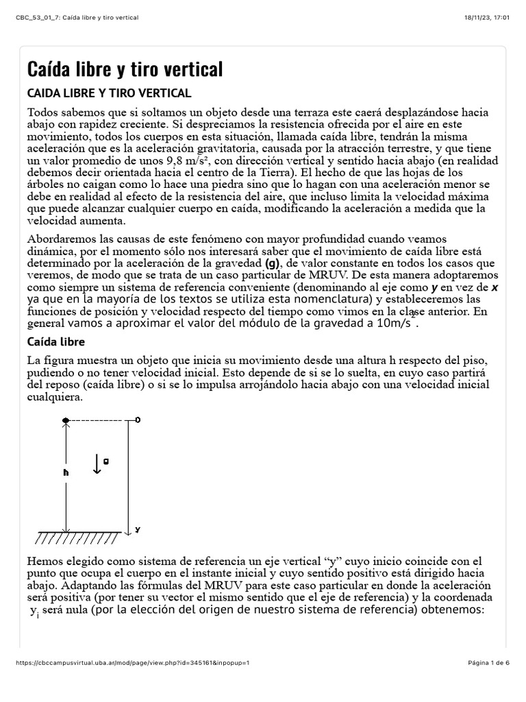 Apunte - Caída libre y tiro vertical | PDF | Velocidad | Aceleración