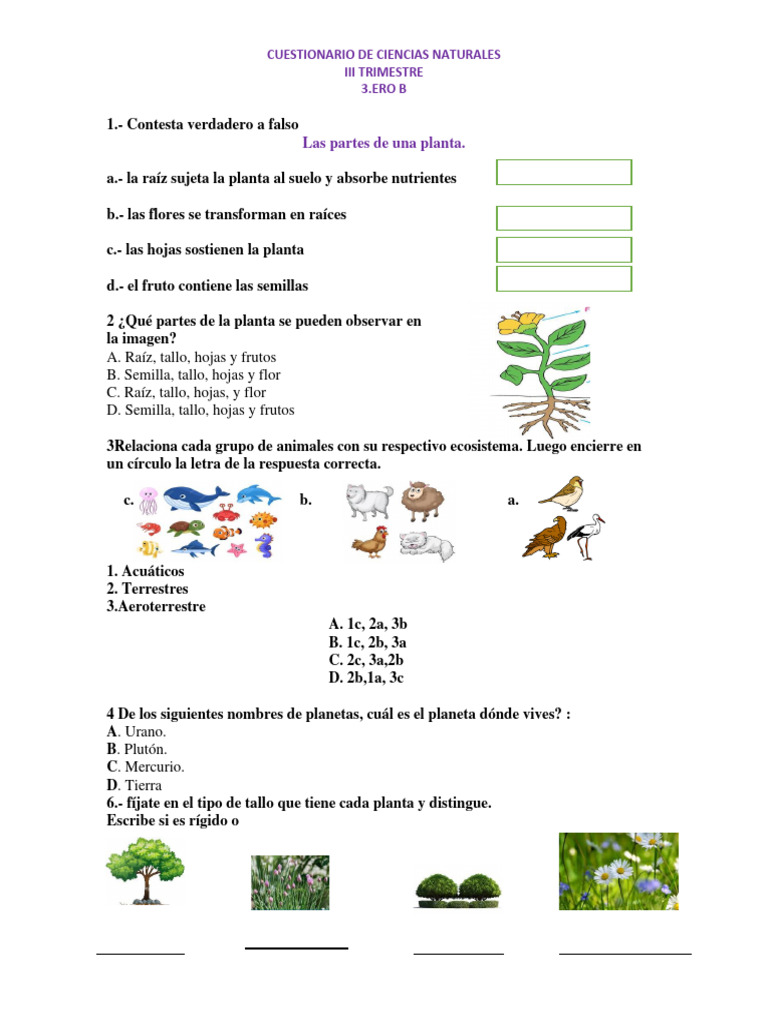 Cuestionario CCNN | PDF