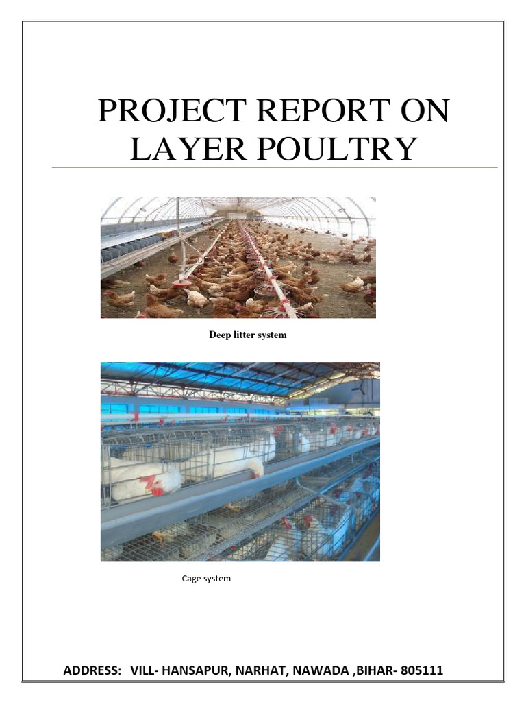 Dhiraj Egg Layer Farm Project Report and Annexure | PDF