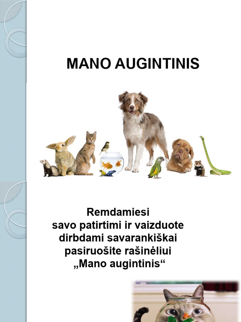 Gyvuno Aprasymas | PDF