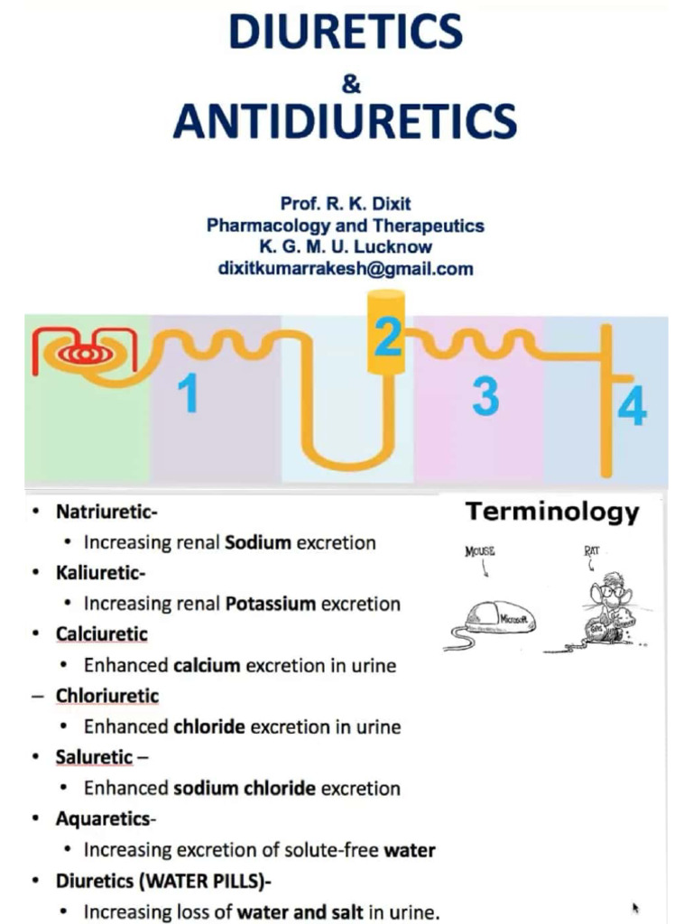 Diuretics | PDF