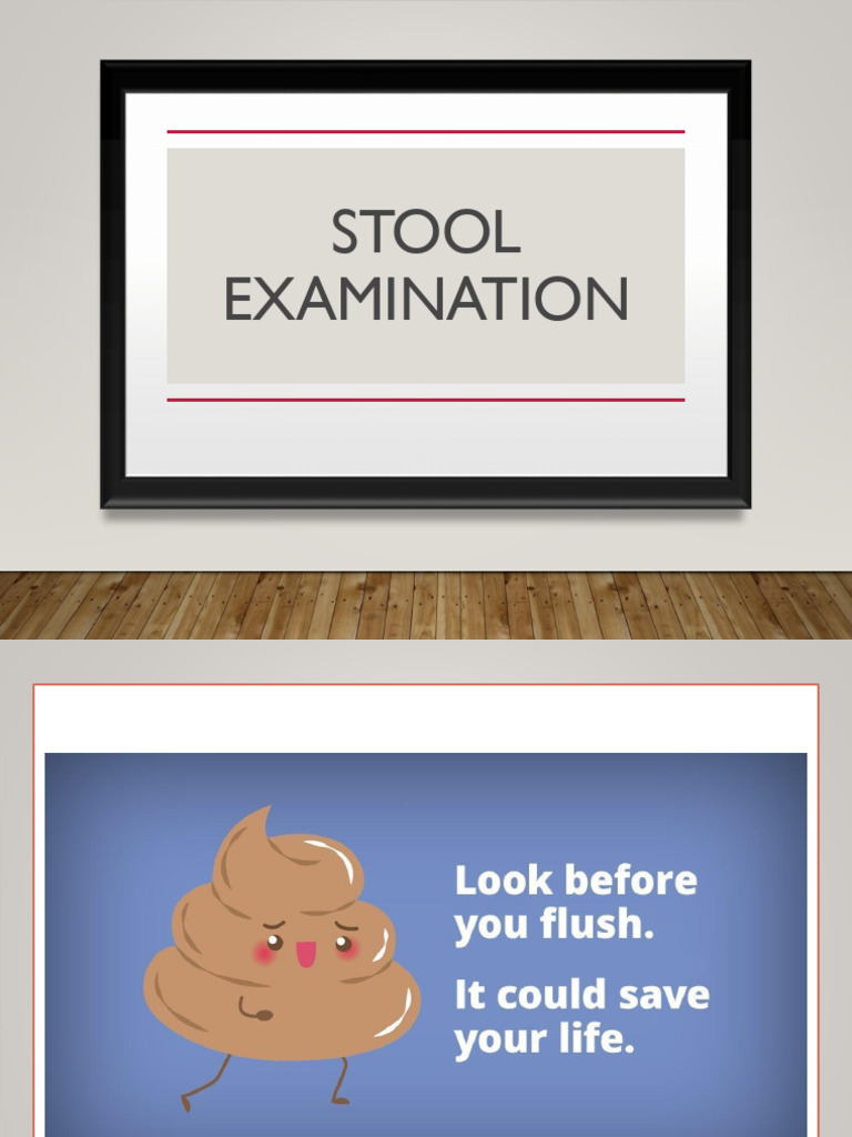 Stool Examination | PDF | Human Feces | Medical Specialties