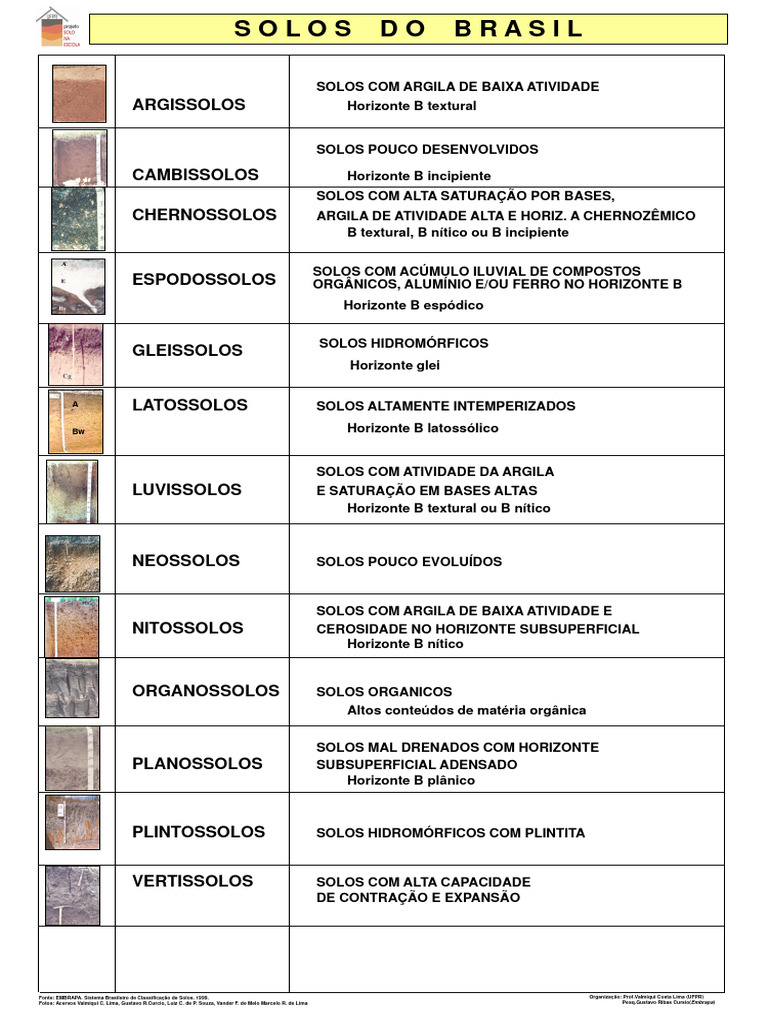 Solos do Brasil | PDF | Solo | Jardinagem sustentável