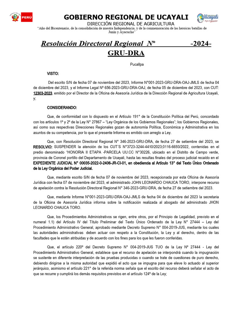 Resolución Directoral Regional N º - 2 024 | PDF | Apelación | Gobernancia