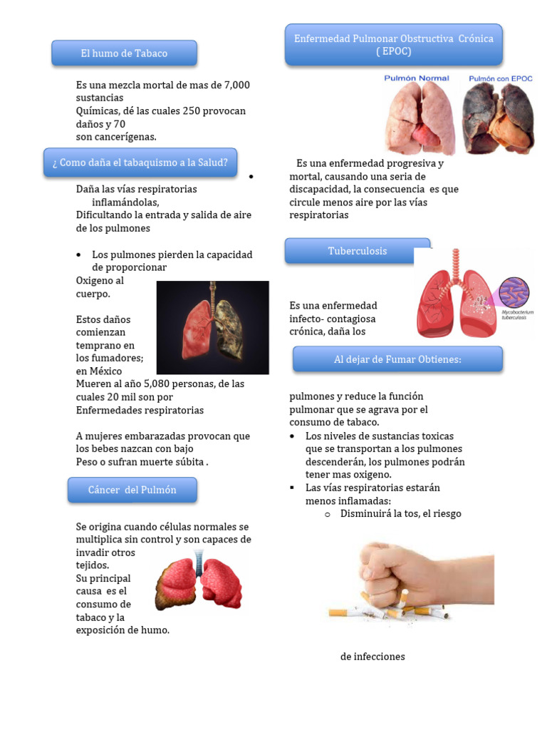 Triptico de Cancer Del Pulmon | PDF | Tabaco | Enfermedad pulmonar obstructiva crónica