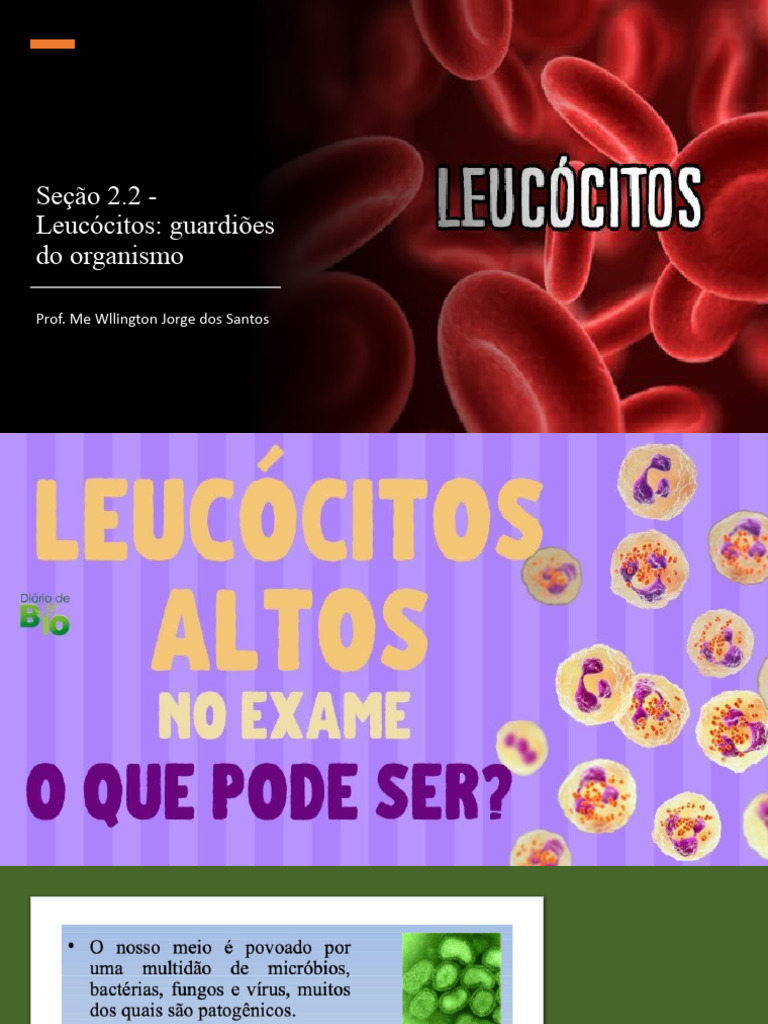 Aula 2.2 Hematologia | PDF | Bem-estar