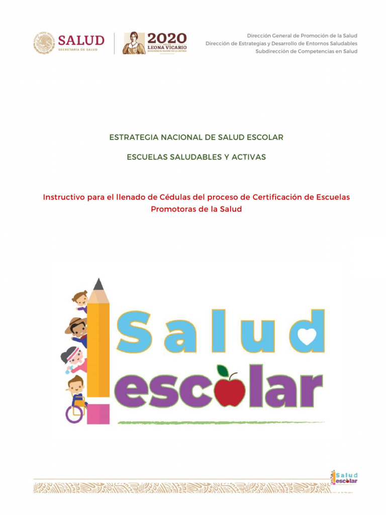 5 Instructivo de Llenado de Cedulas | PDF | Educación de la primera infancia | Educación primaria