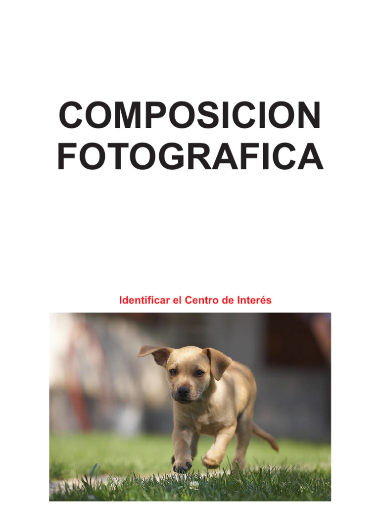 Composicion fotografica | PDF