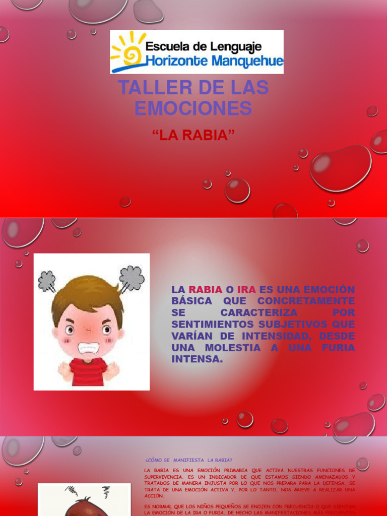 Emocion La Rabia | PDF