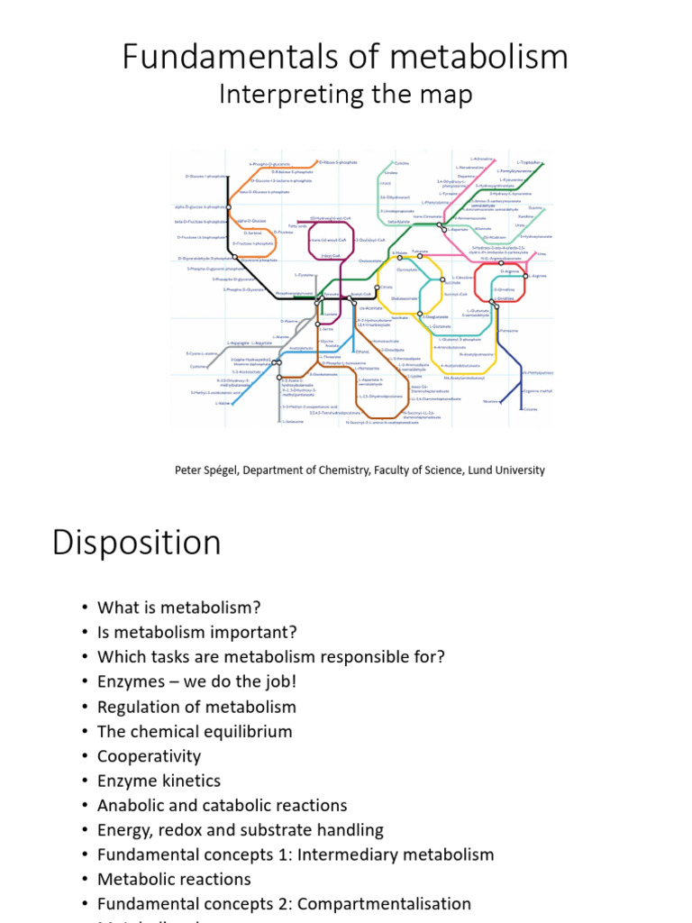 Metabolism Basics and Enzyme Roles | PDF | Metabolism | Adenosine ...