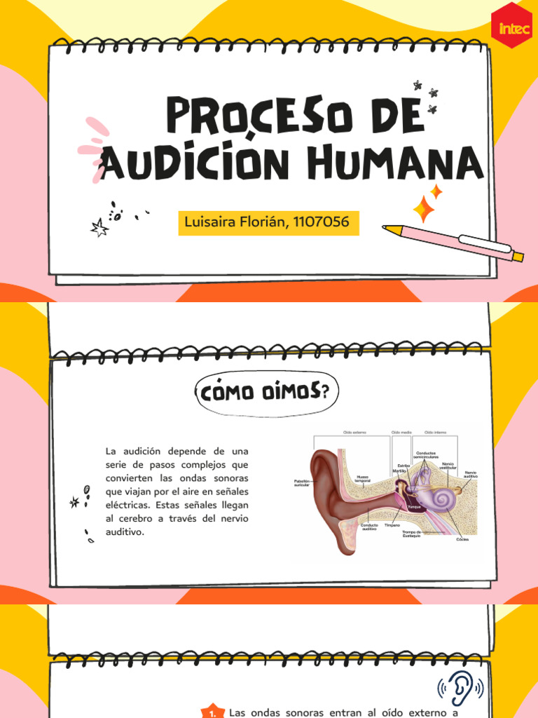 Proceso de Audición Humana | PDF