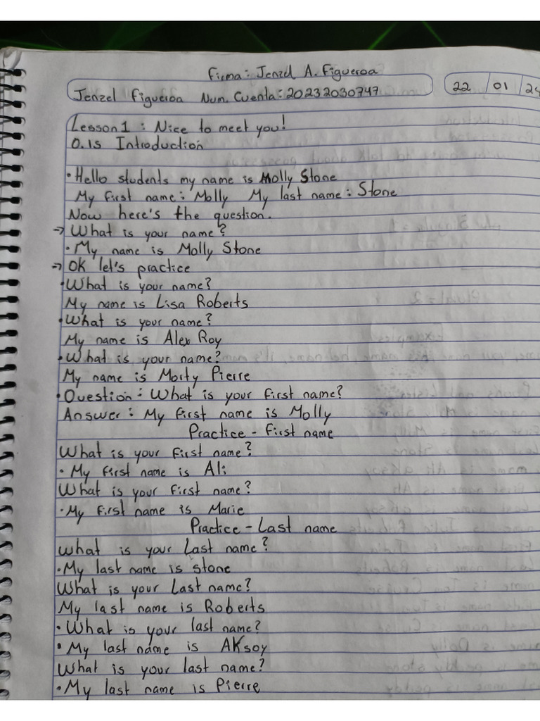 Figueroa Jenzel U1T1a1 | PDF