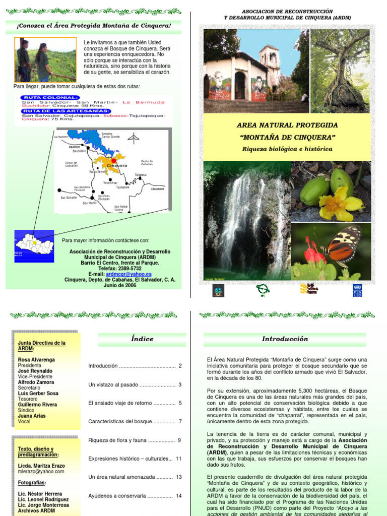 Descubra el Bosque de Cinquera | PDF | Los bosques | Deforestación