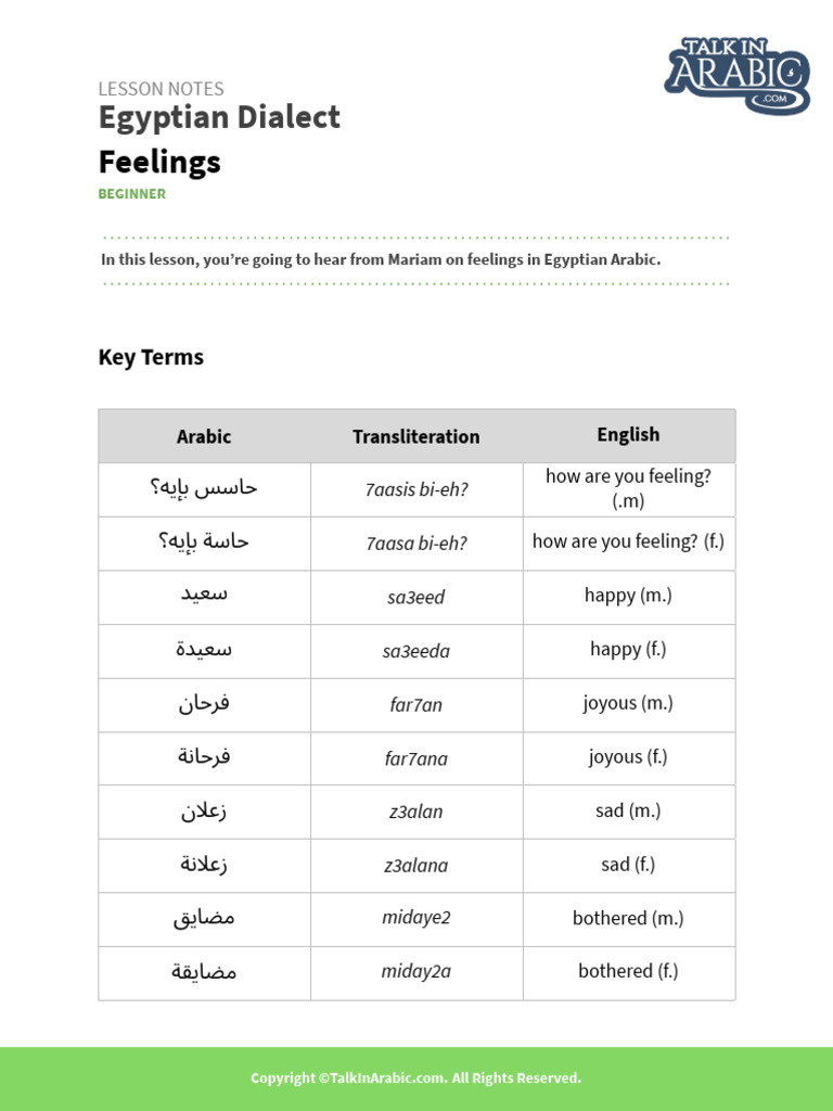 How Do You Feel - Egyptian | PDF | All Rights Reserved | Human ...