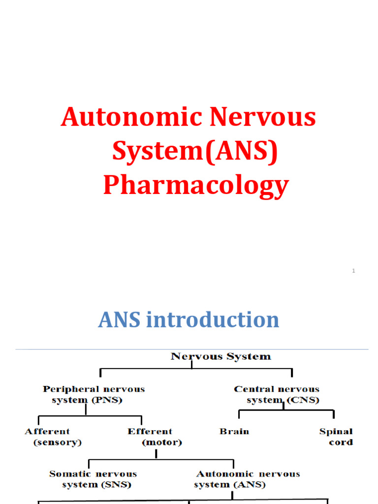 Chapter 2 ANS Pharmacology (1) (1) | PDF | Acetylcholine | Physiology