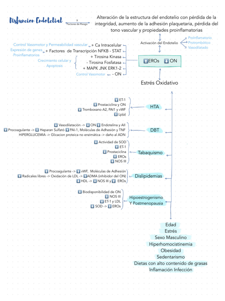 Endotelio Descargar Gratis Pdf Endotelio Inflamación