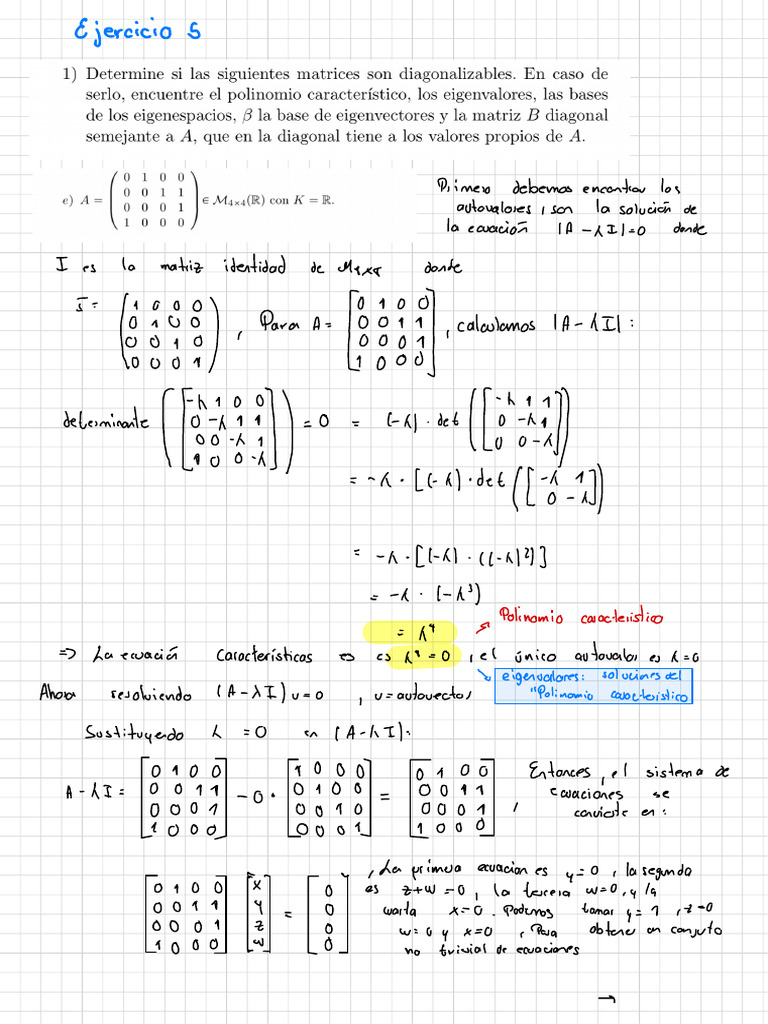 Ejercicio 5 y 9 | Descargar gratis PDF | Valores propios y vectores propios | Teoría de la matriz