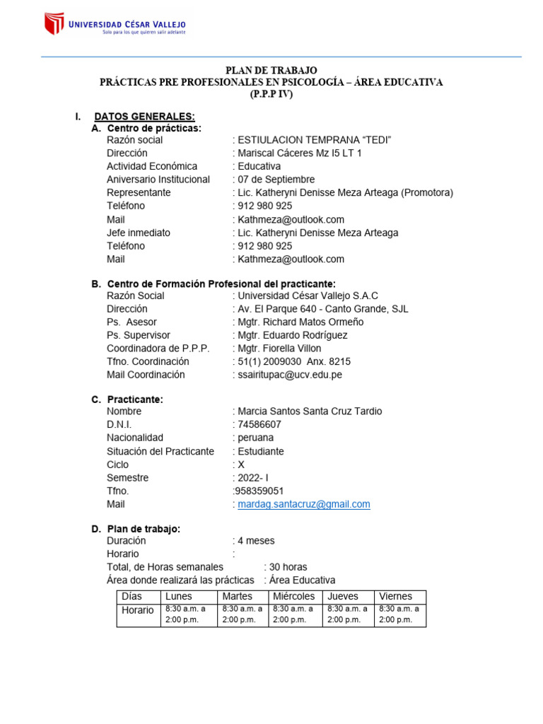 PLAN DE TRABAJO PP3 2022 | PDF | Sicología | Internet