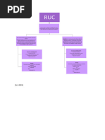 Estructura del RUC en Ecuador | PDF | Documento de identidad | Ecuador