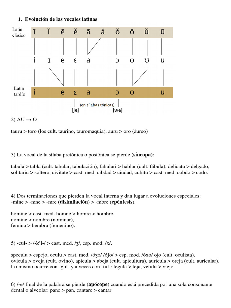 Evolución de las vocales y consonantes latinas | PDF | Voz humana | Idiomas