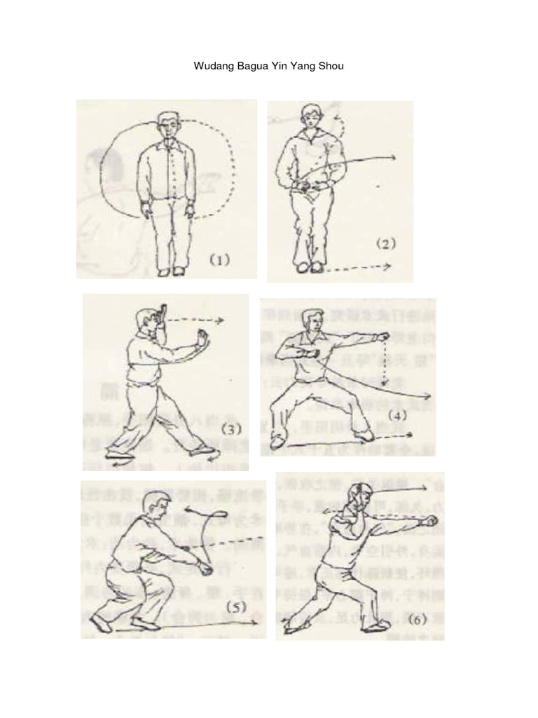 Wudang Bagua Yin Yang Shou | PDF