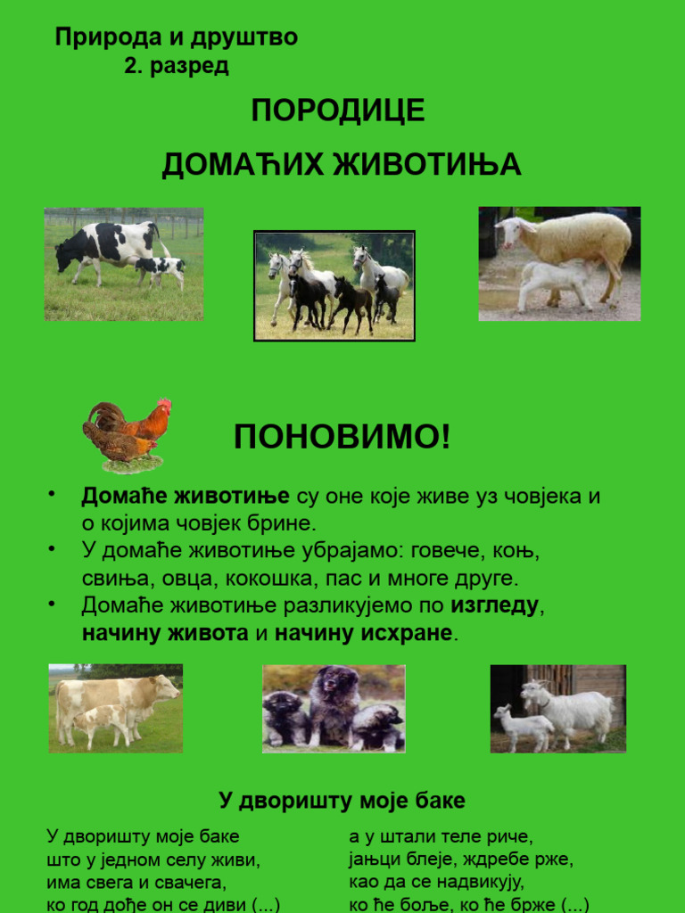 2021-05-07 Priroda I Drustvo 2 Razred 7 5 2020. | PDF