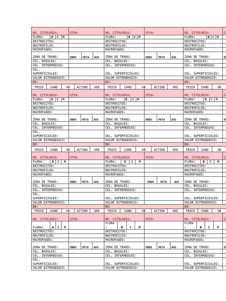 Formato CCV 01 | PDF