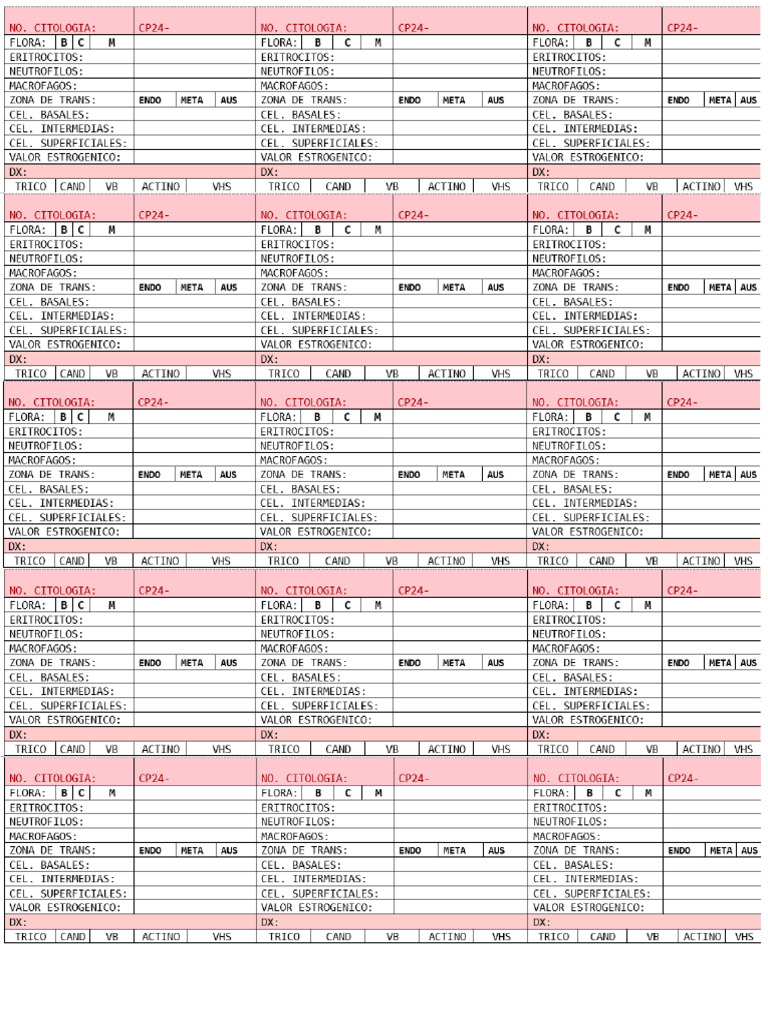 Formato CCV 02 | PDF