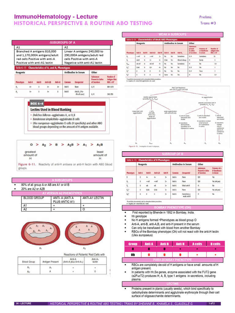 BACTELab_F_Gram Positive & Negative Biochemical Tests | PDF | Blood ...