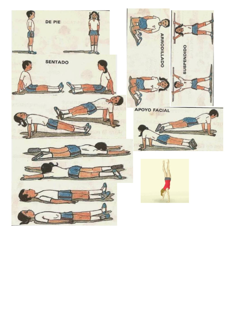 Posiciones Basicas | PDF