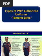 PNP ORGANIZATIONAL STRUCTURE | PDF | Police | Securities