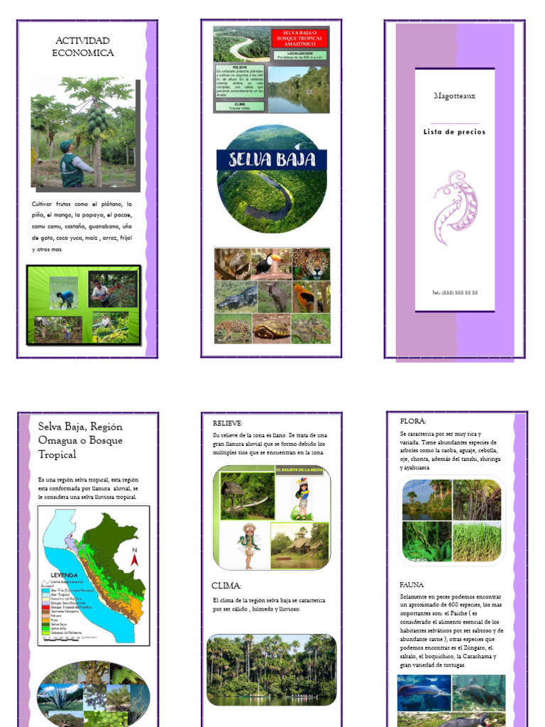 Triptico de La Selva Baja | PDF | Biota