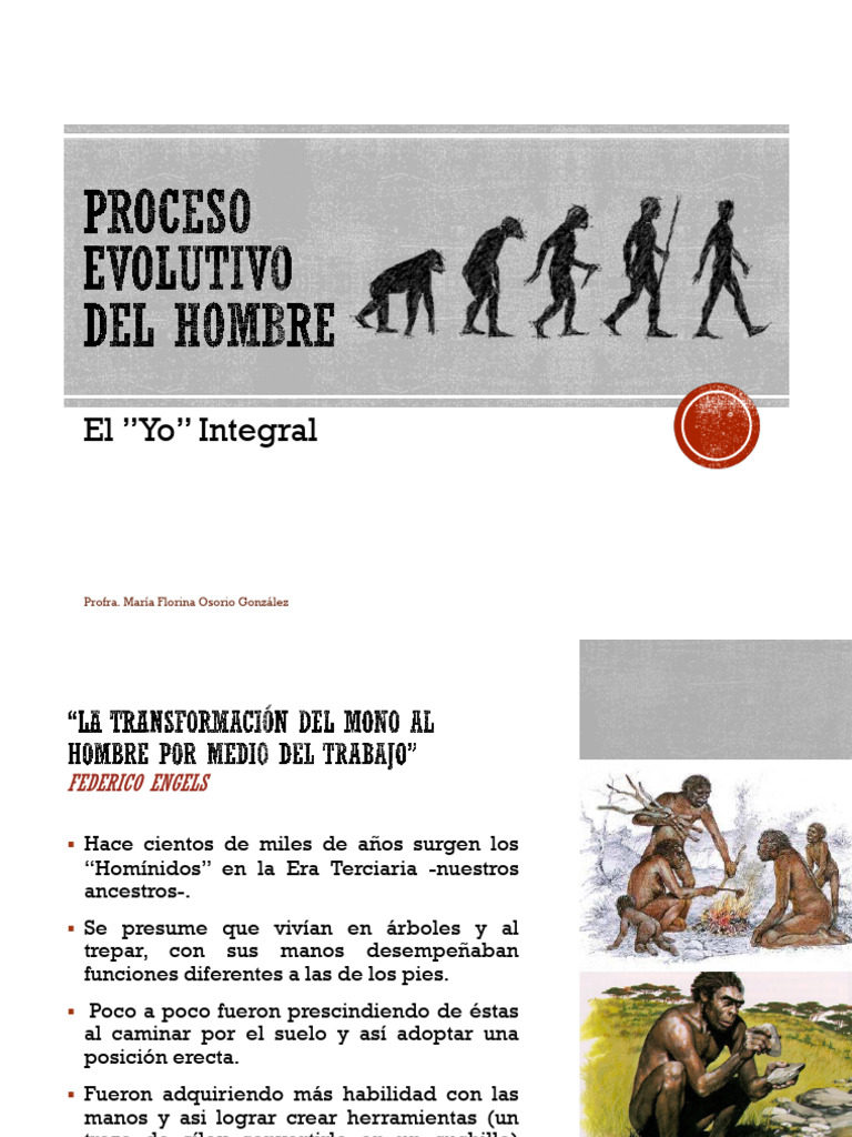 Proceso Evolutivo Del Hombre | PDF