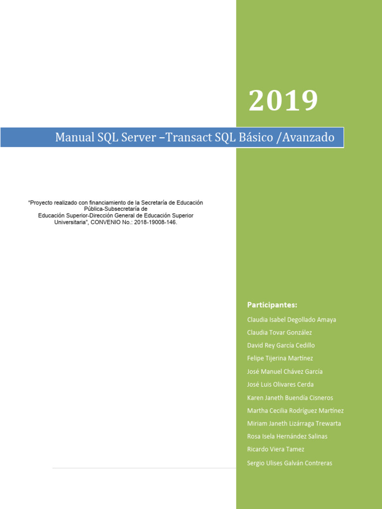 Manual SQL Server 2019 | PDF | Archivo de computadora | SQL