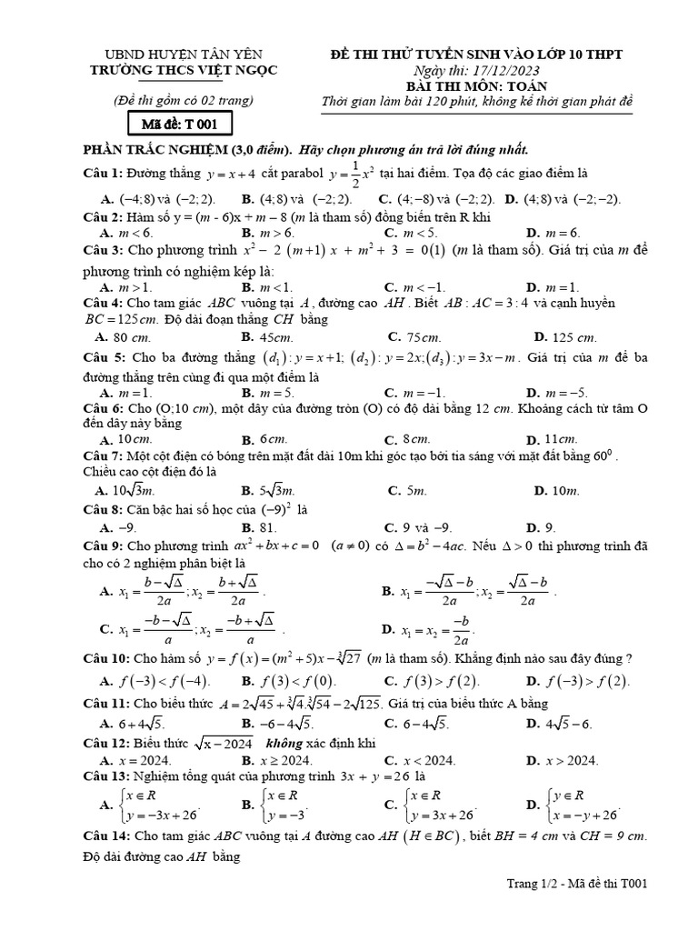 De Thi Thu Toan Vao Lop 10 Nam 2024 2025 Truong Thcs Viet Ngoc Bac Giang | PDF