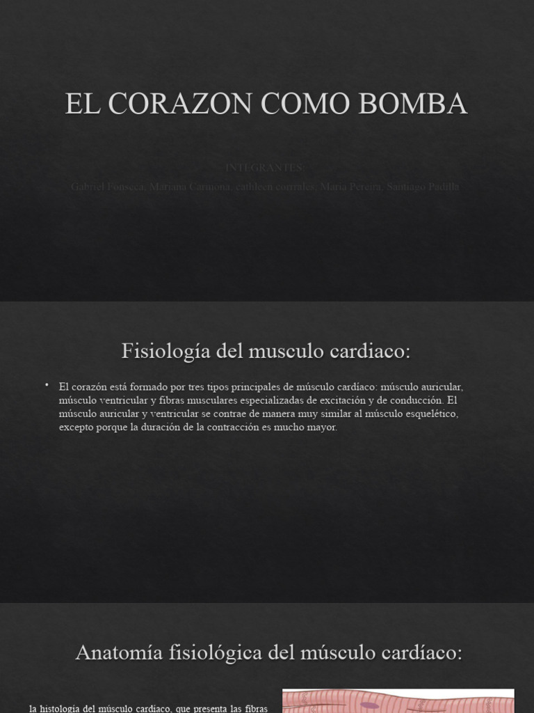 El Corazon Como Bomba | PDF | Corazón | Músculo esquelético