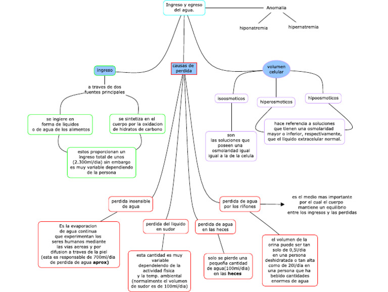 Mapa de Fisio | PDF