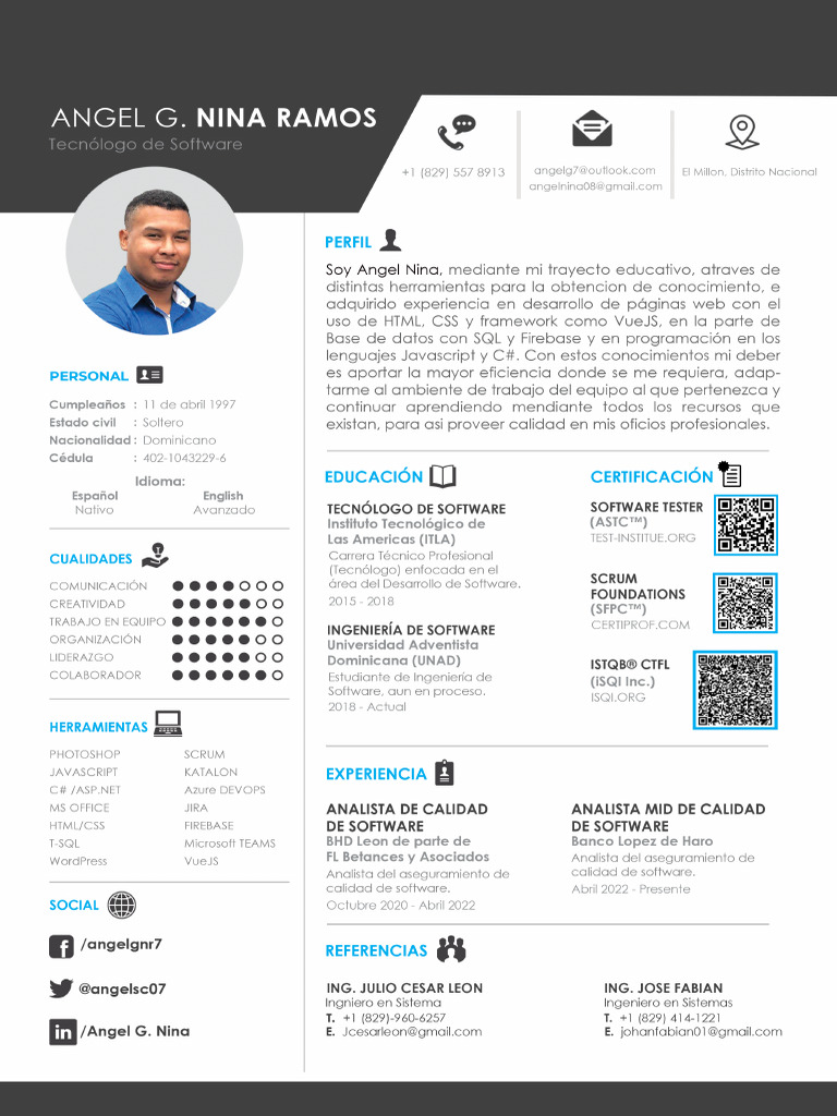 Currículum Angel Nina | PDF