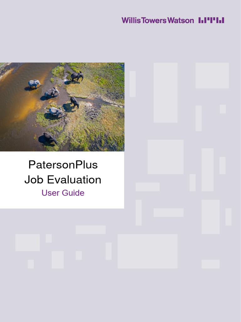 W TW Paterson Plus Job Evaluation User Guide | PDF | Occupational ...