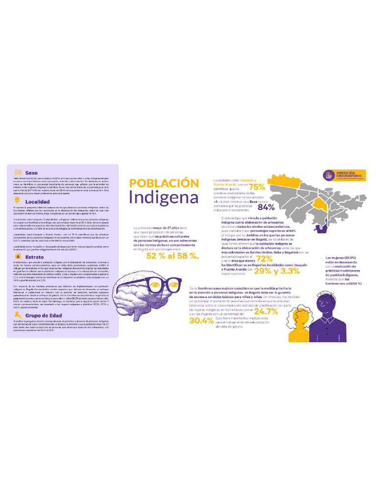 Infografias Indigena | PDF