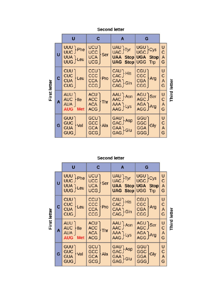 Genetic Code and Colon Table | PDF