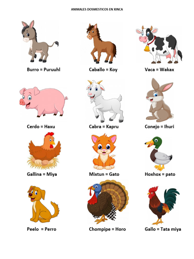 Animales Dosmesticos en Xinca | PDF | Cocina, comidas y vino