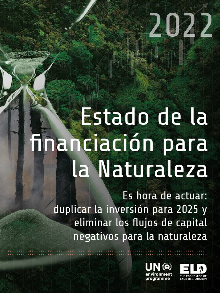 State Finance Nature Summary SP | PDF