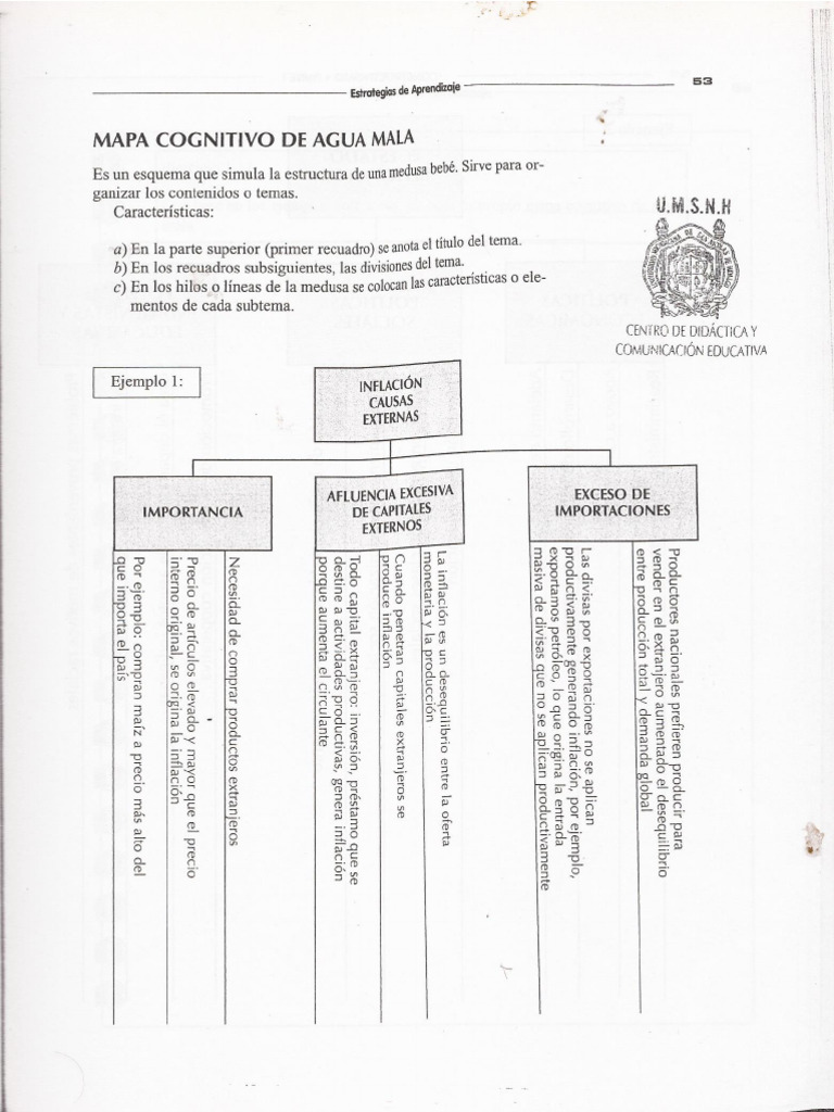 Como Es Un Mapa Cognitivo