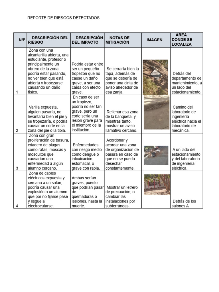 REPORTE DE Riesgos y Peligros | PDF