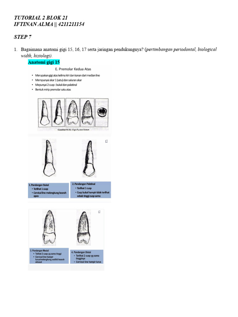 Tutorial Prostodontik GTJ | PDF